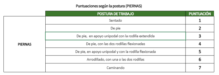 Método OWAS - Next Prevención