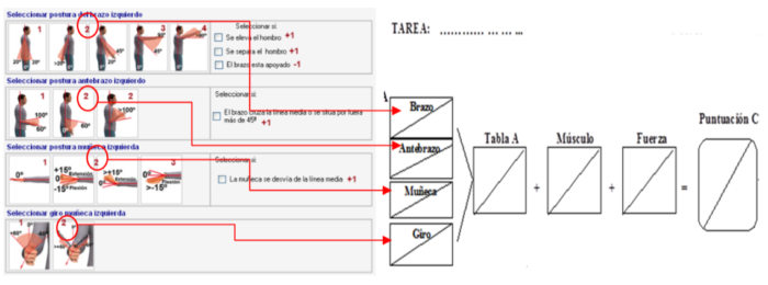 Método RULA - Next Prevención