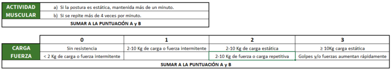 Método RULA - Next Prevención